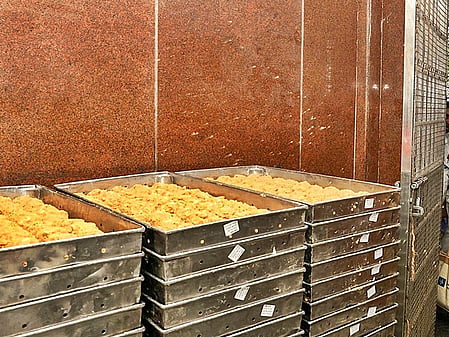 Tirumala ghee adulteration case: ED conducts searches at 15 locations ...