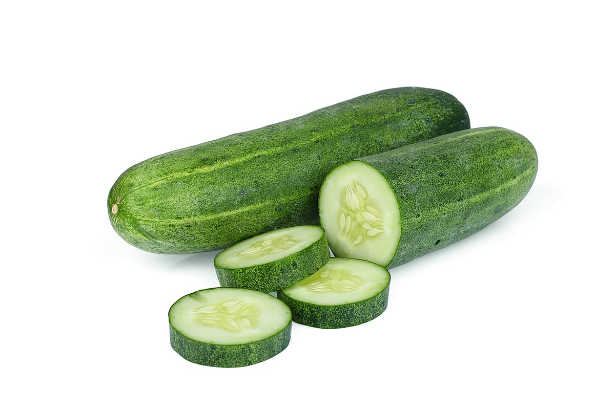 Cucumber News: Latest Cucumber News, Top Stories, Articles, Photos ...