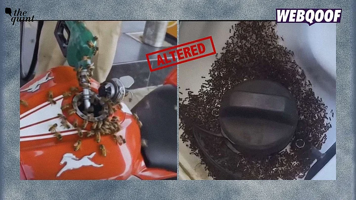 Fact-check: AI-Generated Video Falsely Shared as One of Bees Swarming ...