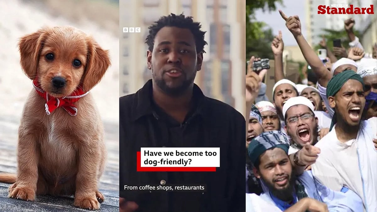 WATCH: BBC 'dog-friendly' advert triggers backlash, Islam debate